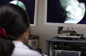 Summer Surgery - Education for the Future of Urology | UCI Urology TEACH